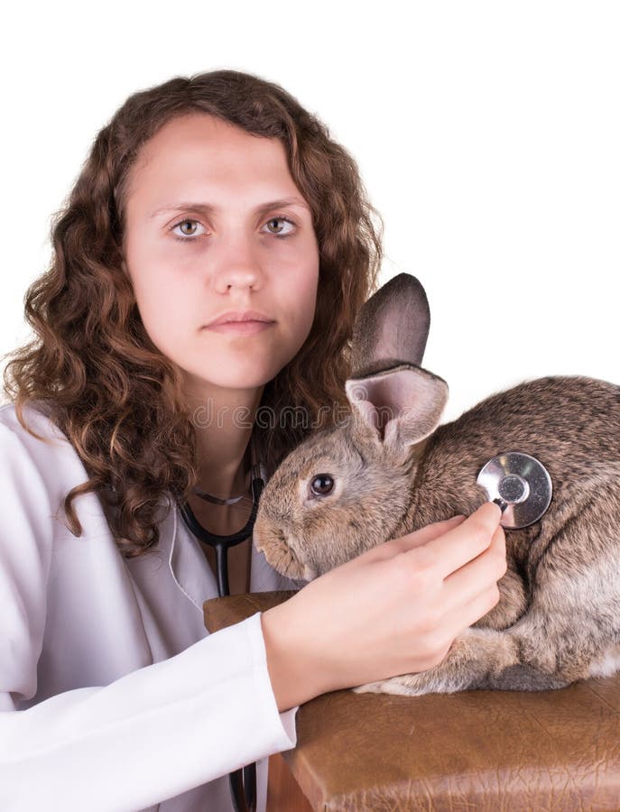 A Female Vet Holding a Rabbit Stock Photo - Image of hospital, people ...