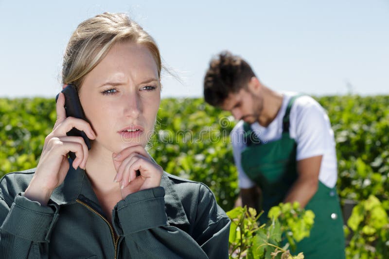 Female Vineyard Supervisor Talking To Cellphone Stock Image - Image of ...