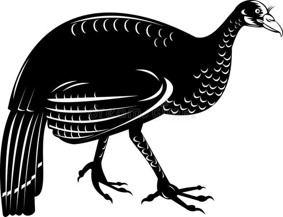Wild Turkey Vector Stock Illustrations – 1,968 Wild Turkey Vector Stock ...