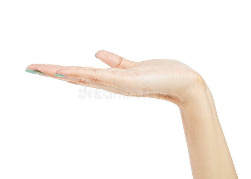 Female Woman Hand Holding Isolated on White Stock Image - Image of ...