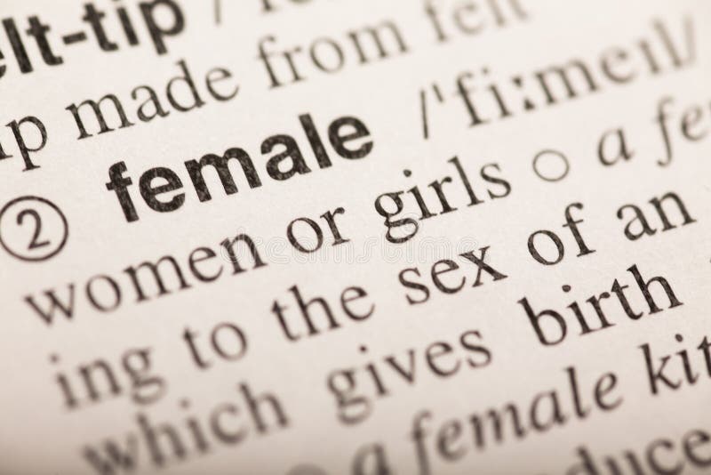 Female - Word in Dictionary Stock Photo - Image of book, print: 81255816