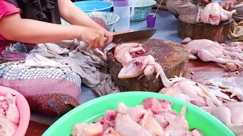 Female Worker Cutting Chicken Meat on the Terrace of the House Stock ...