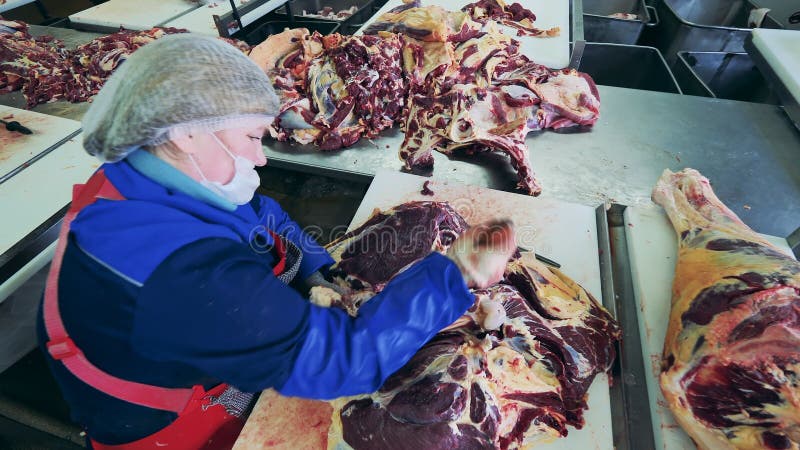 Female Worker is Dressing a Piece of Meat Stock Footage - Video of meat ...