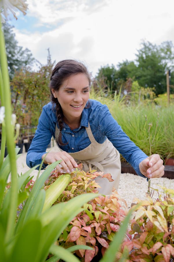 Female Worker in Garden Center Stock Photo - Image of potted, gardening ...