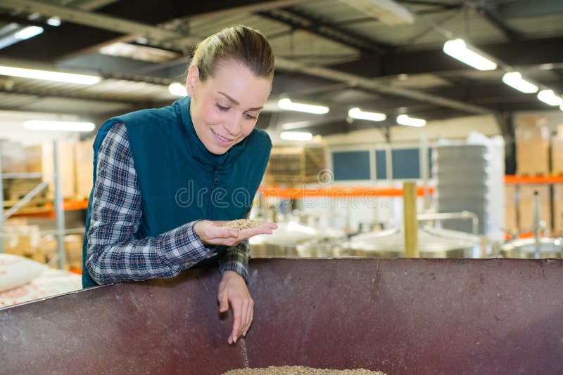 Female Worker Looking at Grain Seeds in Factory Stock Image - Image of ...