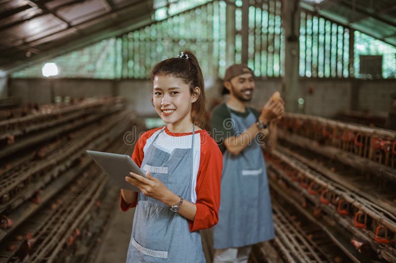 Female Worker Smiling Hold a Tablet at a Chicken Farm Stock Photo ...