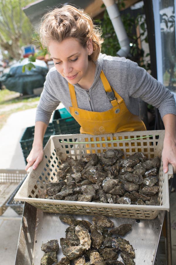 Female Worker Sorting Basket Oysters Stock Photo - Image of crustacean ...