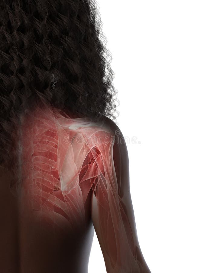 A females shoulder muscles stock illustration. Illustration of graphic ...