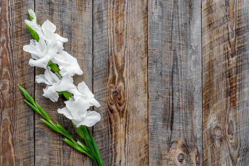 Feminine Desk Concept. Flower on Rustic Wooden Background Top View ...