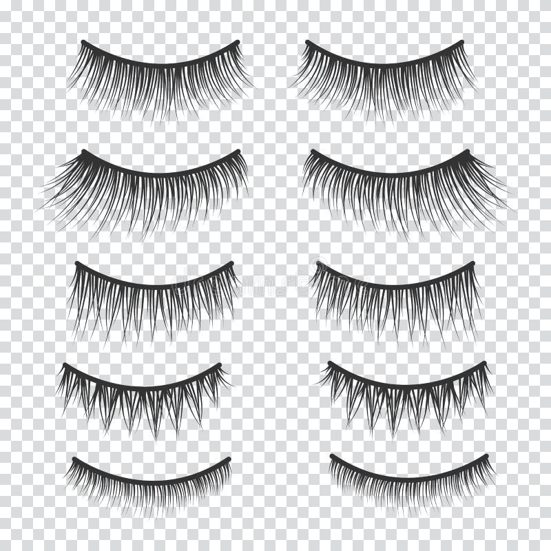 Feminine Lashes Vector Set. False Eyelashes Stock Vector - Illustration ...