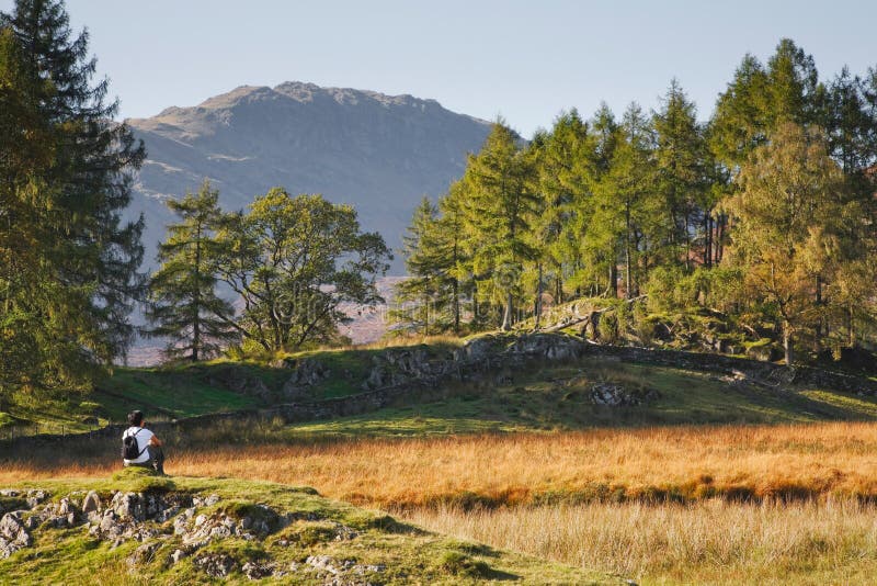 Femme dans la campagne photo stock. Image du fille, nature - 21108426