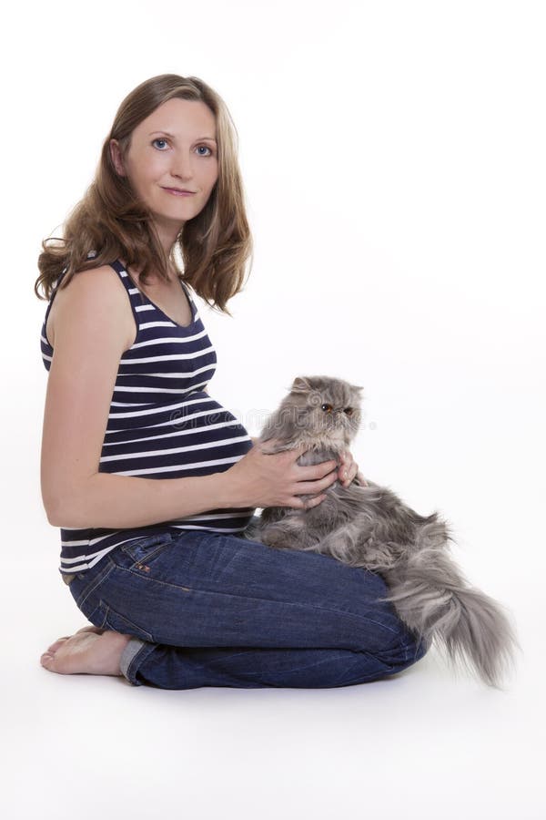 2,159 Photos de Chat Enceinte - Photos de stock gratuites et libres de ...