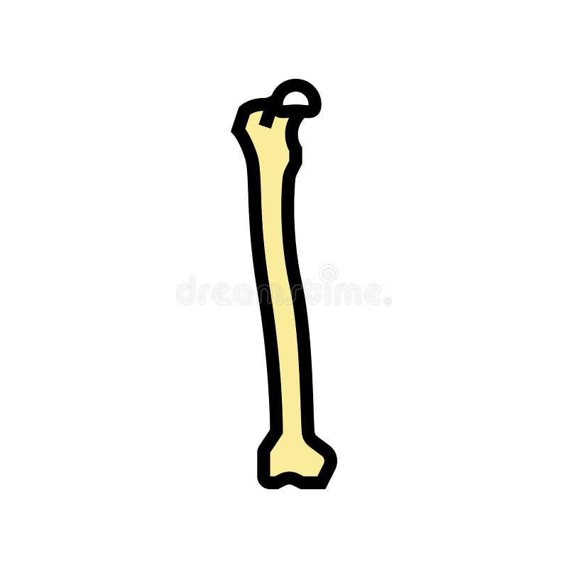 Femur Bone Color Icon Vector Illustration Stock Illustration ... Femur Bone Color Icon Vector Illustration Stock Illustration ...