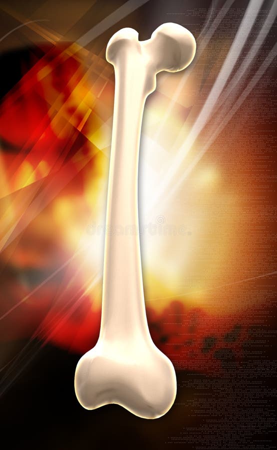 Bone Colour Stock Illustrations – 772 Bone Colour Stock Illustrations ...