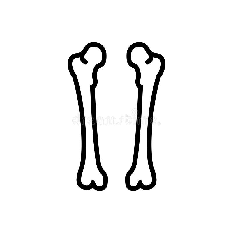 Black Line Icon for Femur, Bone and Calcuim Stock Vector - Illustration ...