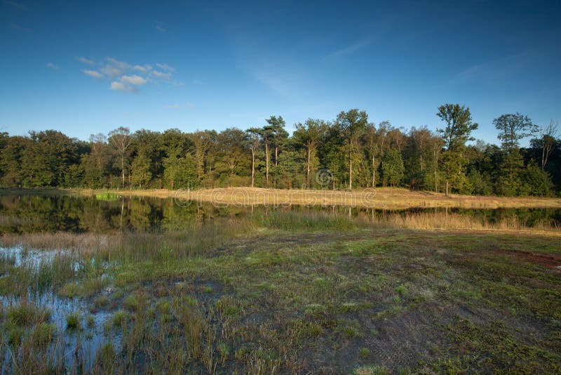 Fen Landscape with Morass on the Foreground. Stock Photo - Image of ...