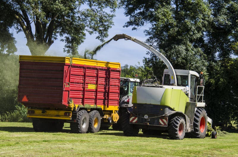 Fenaison, Ramasseuse-hacheuse Photo stock - Image du machine, vert ...