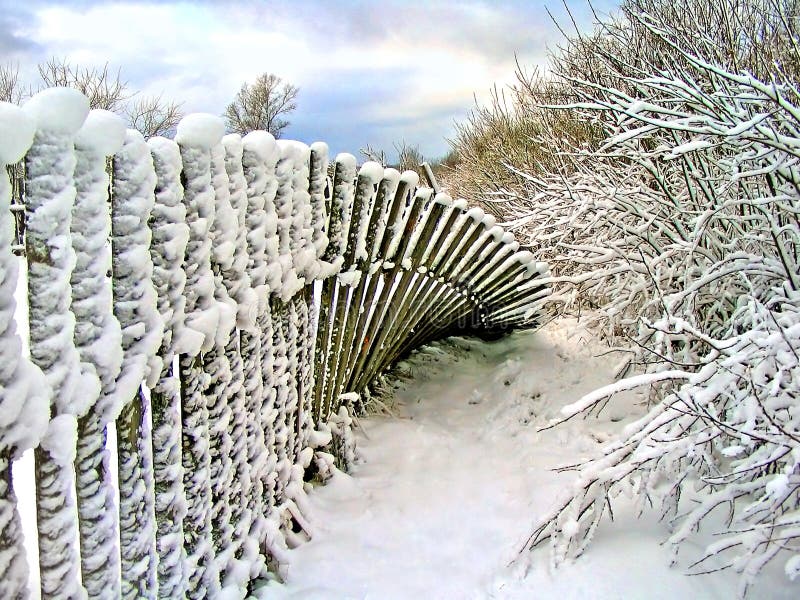 Fence stock image. Image of fence, winter, snow, wood - 2392349