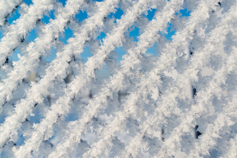 Fence Barbed Wire Barbwire in Which Fallen Snow Stock Image - Image of ...