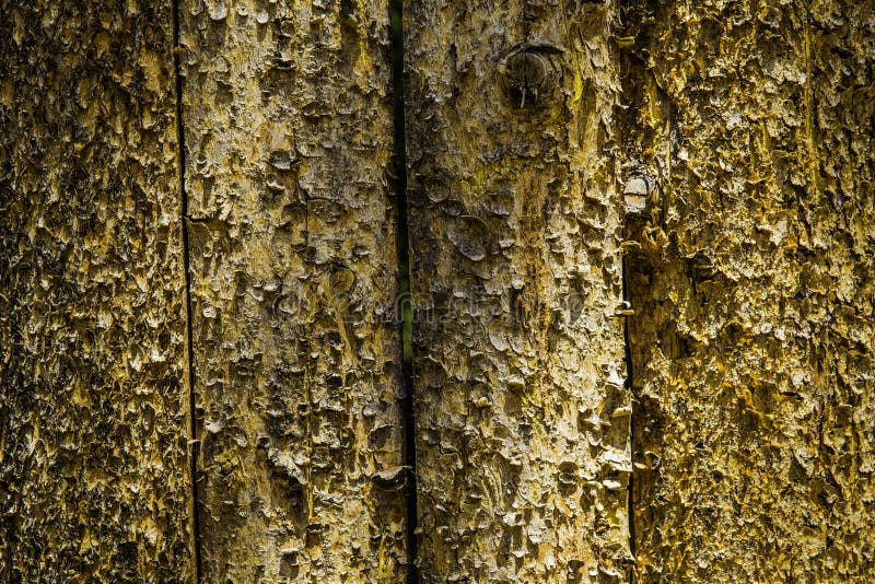 Fence with Bark stock image. Image of nature, rotten - 33370041