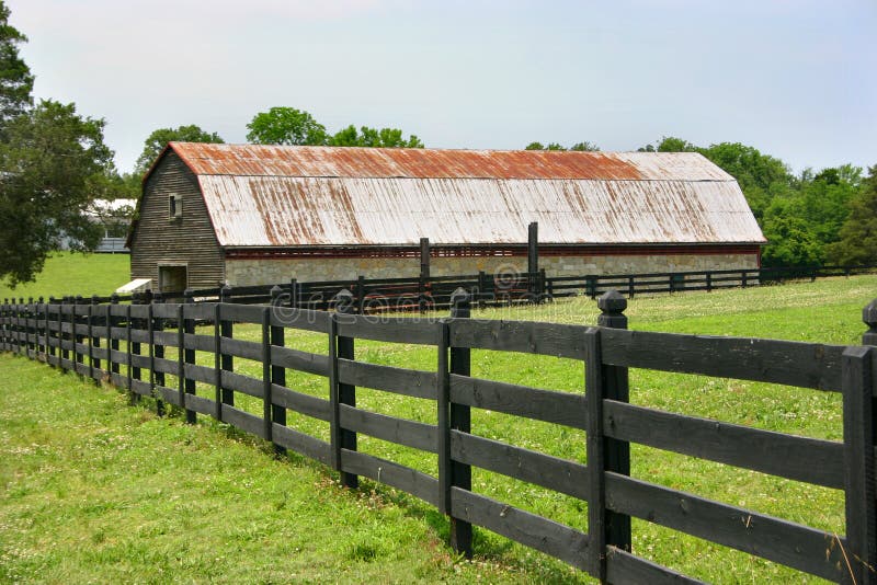 Log Fence Barn Cow stock photo. Image of eating, forestry - 53839772