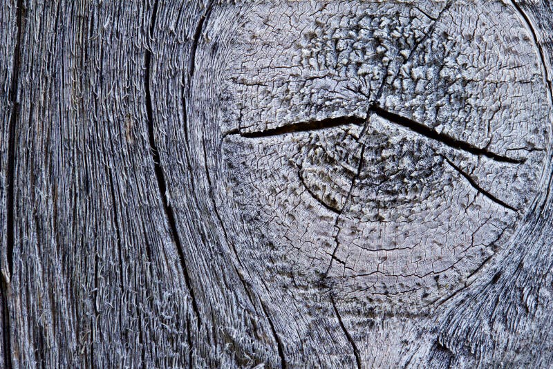 Fence Board stock image. Image of texture, knotted, knot - 60525887