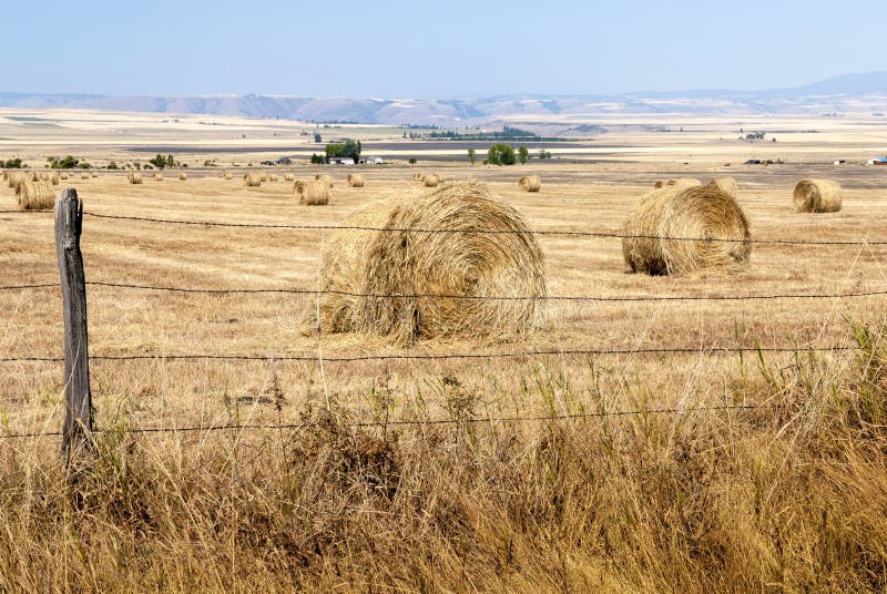 Fence Border on a Field with Rolls of Straw Stock Image - Image of ...