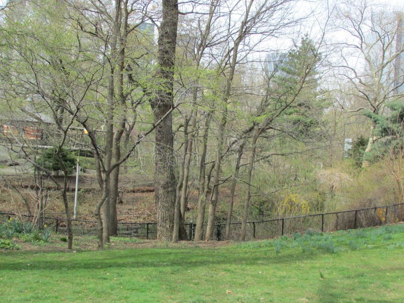 Fence bordering the park stock photo. Image of nature - 358011222