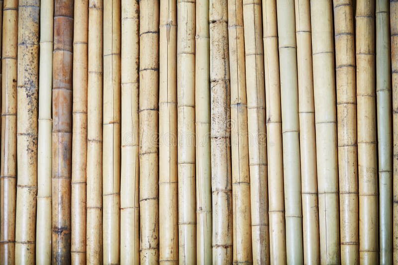 Fence of brown bamboo stock image. Image of decoration - 318324377