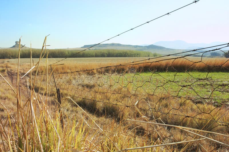 Fence In Countryside Picture. Image: 6068708