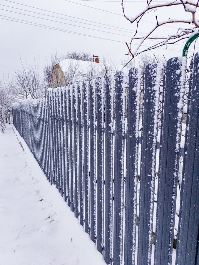A Fence Covered in Snow Next To a Tree Stock Image - Image of bare ...