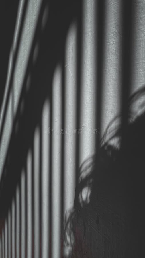 A Fence that Creates a Stretch of Nature& X27;s Shadow on the Wall, for ...