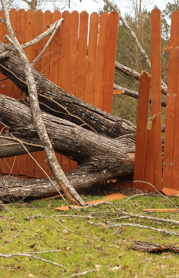 Fence Damaged from Tree Falling during Storm Stock Photo - Image of ...