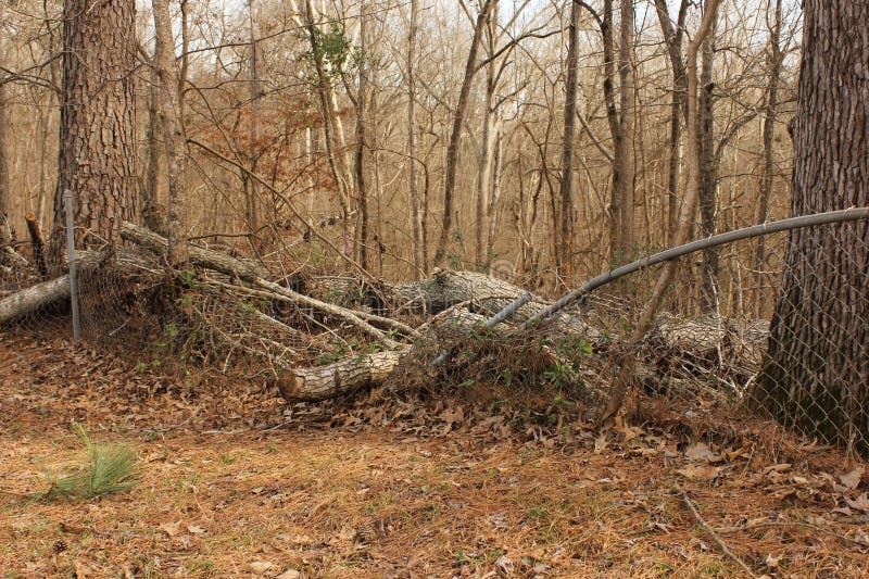 Fence Damaged from Tree Falling during Storm Stock Photo - Image of ...