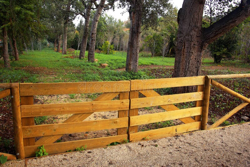Fence Dorway stock photo. Image of natural, backyard - 11920808