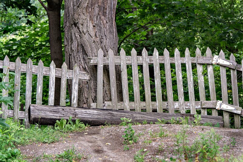 Fence stock image. Image of wooden, fancy, boundary, backyard - 84970435