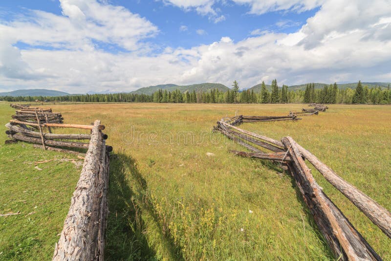 Fence in the field. stock image. Image of forest, summer - 39783901