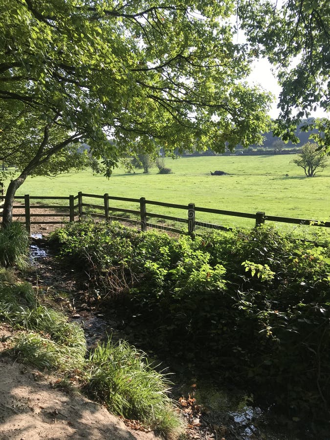 Fence beside a field stock photo. Image of stream, lawn - 203014684
