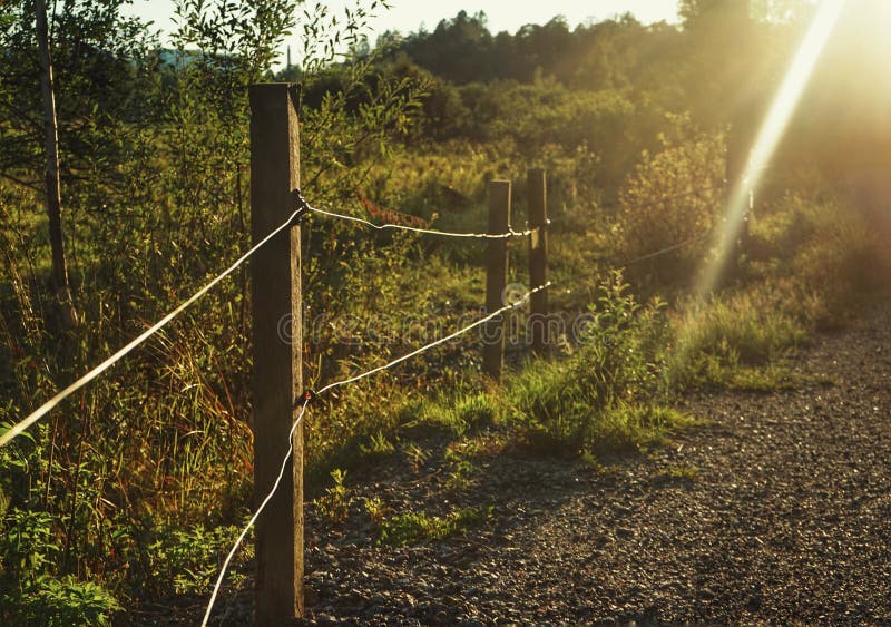 Fence on field at sunset stock photo. Image of sunset - 253055044