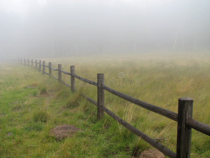 Fence in fog stock image. Image of mist, grass, damp, moody - 7573543