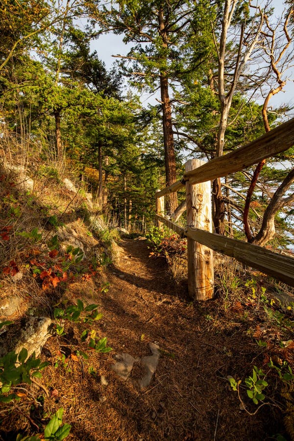 Fence and Foliage at Sunset Stock Photo - Image of hike, fall: 232867936