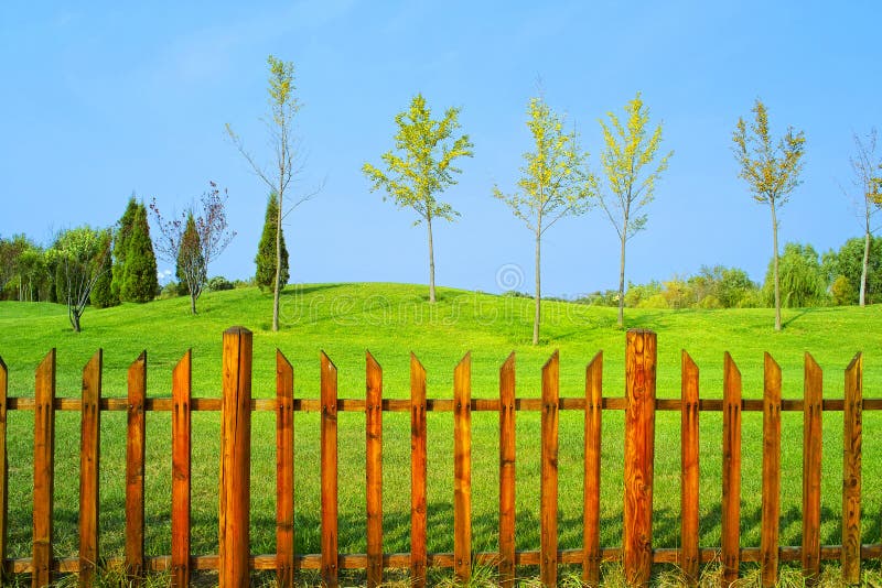 Golf course fence stock image. Image of hole, healthy - 7708251