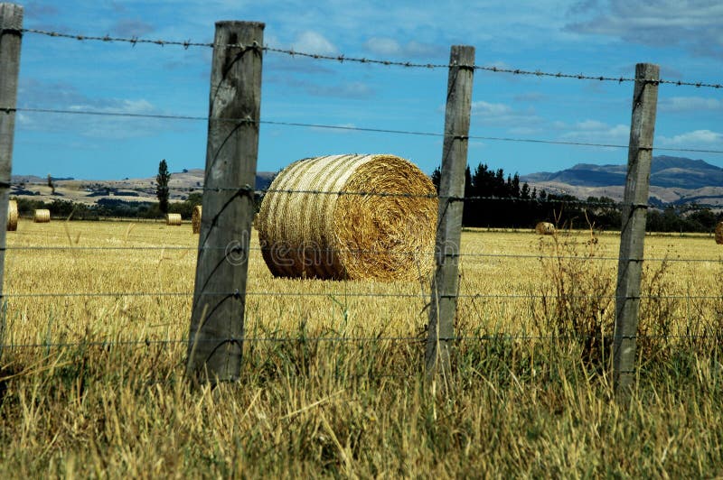 Fence and hay field stock photo. Image of beauty, field - 4430962