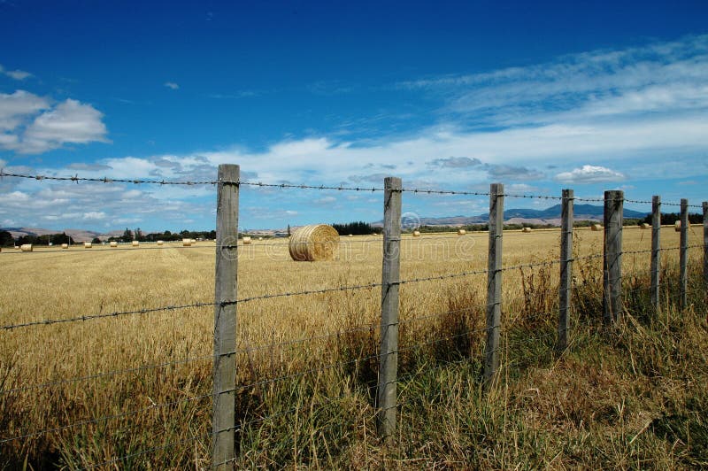Horses on ranch stock image. Image of american, fence - 31923343