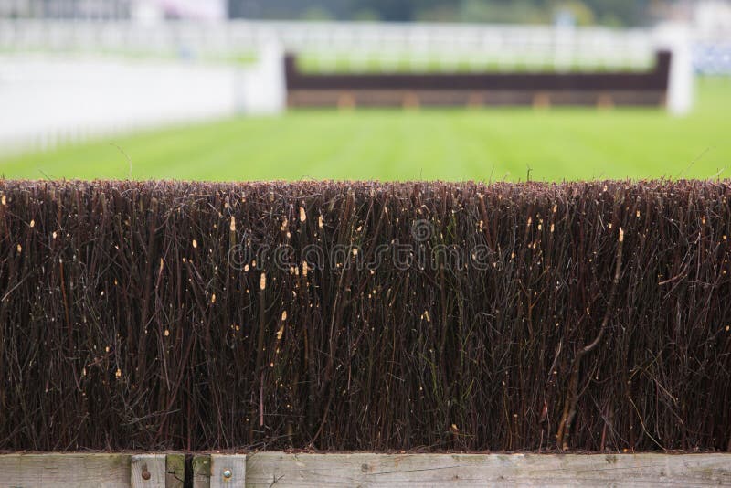 Fence on Horse Racing Track Stock Photo - Image of equestrian, grass ...