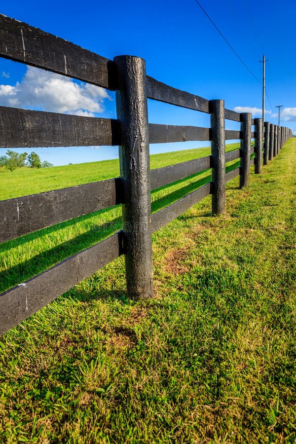 Rustic Wooden Fence in a Lush Green Meadow Stock Photo - Image of ...