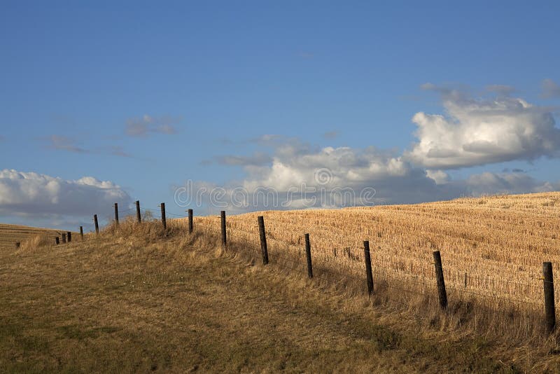 Fence Line through the Field. Stock Image - Image of land, meadow: 15862213
