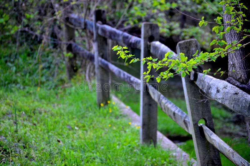 Fence line stock photo. Image of barbed, steep, meadow - 1165992