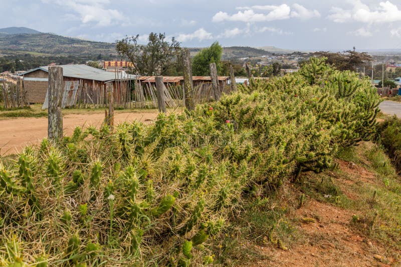 Maralal Town Stock Photos - Free & Royalty-Free Stock Photos from ...