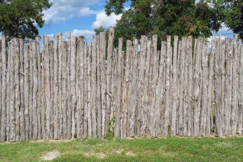 Fence of Cedar Limbs stock image. Image of brown, fence - 75362113